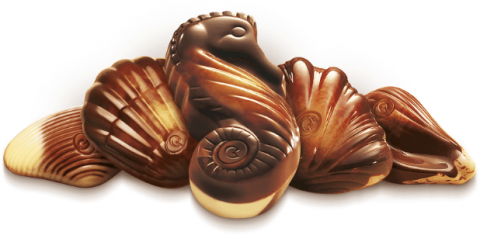 Guylian 22-Piece Chocolate Sea Shells Original Praliné | World Wide ...
